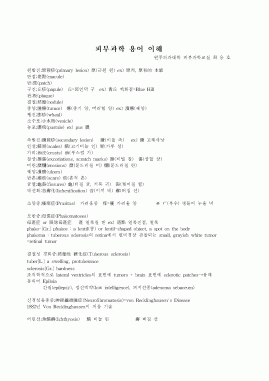 피부과-용어설명-1페이지