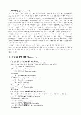 원생동물문 Protozoa.. 등등-1페이지