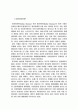 인라인 하키 레포트 자료-1페이지