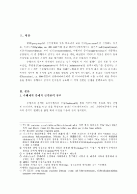 불교 쁘라마나학파에서의 요가수행자의 증지-1페이지