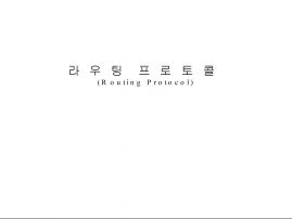 [공학/컴퓨터/통신] ROUTING PROTOCOL-1페이지