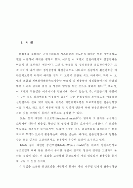 비구형 산화철을 위한 중간모델-1페이지