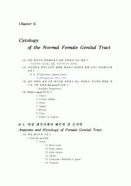 정상 여성생식기계의 세포학-1페이지