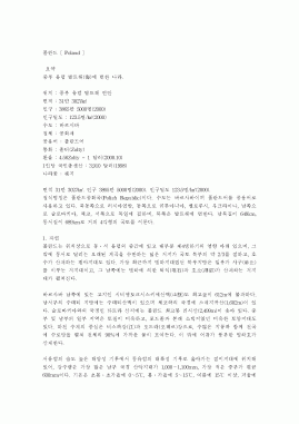 폴란드에 관한 자료-1페이지
