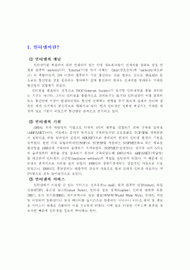 인터넷과 사이버 문화-1페이지