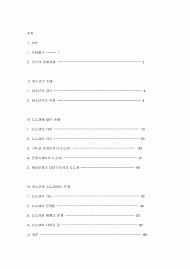 청소년과 CCM의 관계-1페이지