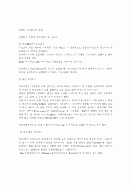 컴퓨터 바이러스 부트 바이러스 파일 바이러스 신종바이러스-1페이지