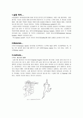 개구리 해부 실험 리포트 (점수)-1페이지