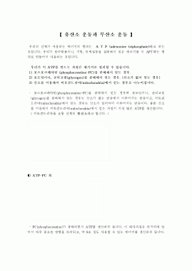 유산소 운동과 무산소운동-1페이지