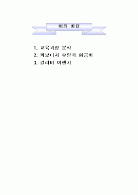 비와 비율 레포트 자료-1페이지