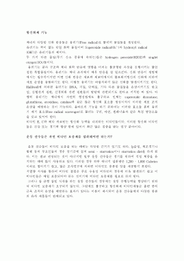 항산화제 레포트 자료-1페이지