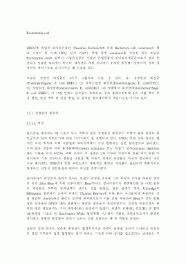 Escherichia coli 레포트 자료-1페이지