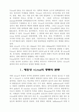 VIRUS REPORT 레포트 자료-1페이지