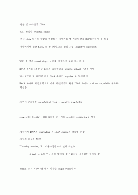 핵산의 구조 레포트 자료-1페이지
