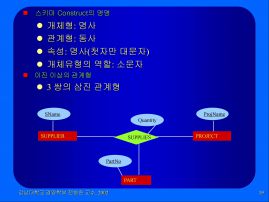 스키마 Construct의 명명-1페이지