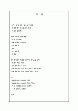 (모바일마케팅) 모바일인터넷 마케팅 전략(SK텔레콤을 중심으로)-1페이지