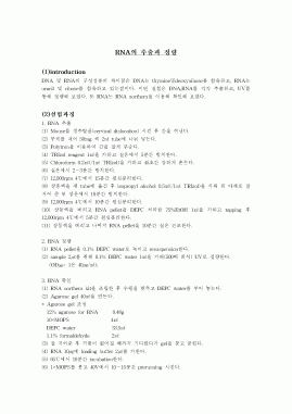 RNA의 추출과 정량-1페이지