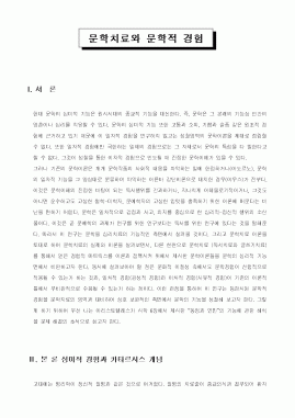 문학치료와문학적경험-1페이지