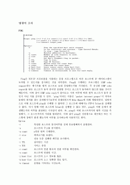 명령어조사 레포트 자료-1페이지