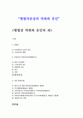 형법각론상의 약취와 유인-1페이지