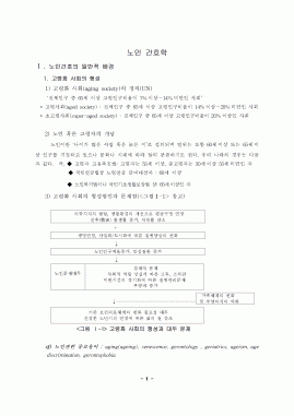노인간호 레포트 자료-1페이지