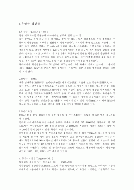 세계의 화산 레포트 자료-1페이지