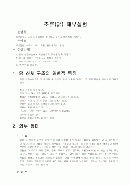 조류 해부학 레포트 자료-1페이지