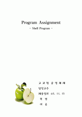 쉘 프로그램 레포트 자료-1페이지