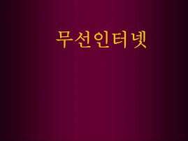 무선인터넷 레포트 자료-1페이지