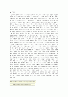 거석문화 레포트 자료-1페이지