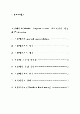 시장세분화(Market Segmentation), 표적시장의 선정 & Positioning-1페이지
