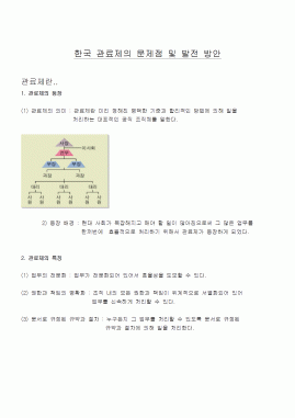 한국관료제의 문제점 및 발전방향-1페이지