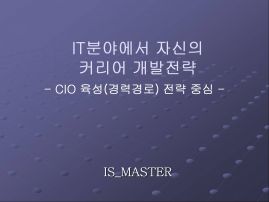 IT분야에서 자신의커리어 개발전략- CIO 육성(경력경로) 전략 중심 --1페이지