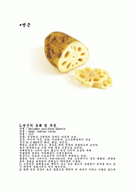 연근에 관한 요약 정리-1페이지