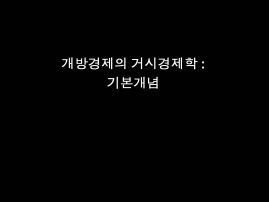 개방경제의 거시경제학-1페이지