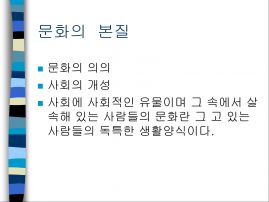 문화의 본질 레포트 자료-1페이지
