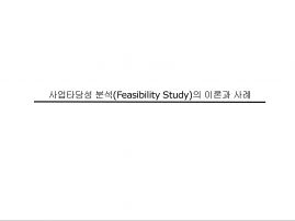 사업타당성 분석(Feasibility Study)의 이론과 사례-1페이지