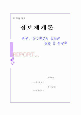한국정부의 정보화 현황및 문제점-1페이지