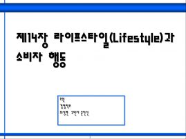 라이프스타일과 소비자 행동-1페이지