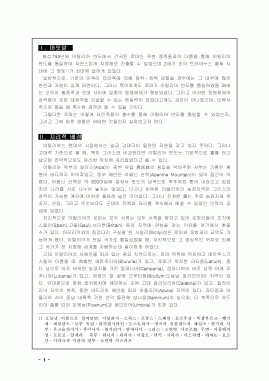 로마의 이탈리아 통일의 의의-1페이지