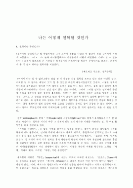 [인문과학] 나는 어떻게 철학할 것인가-1페이지
