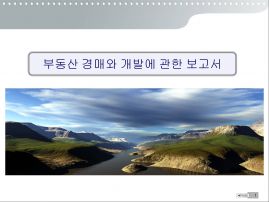 부동산 경매와 개발에 관한 보고서-1페이지