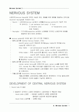 신경계 신경조직(nervous tissue)-1페이지