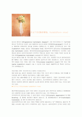 포상기태(胞狀寄胎, Hydatidiform mloe)-1페이지
