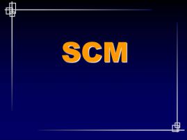 SCM의 정의 레포트 자료-1페이지