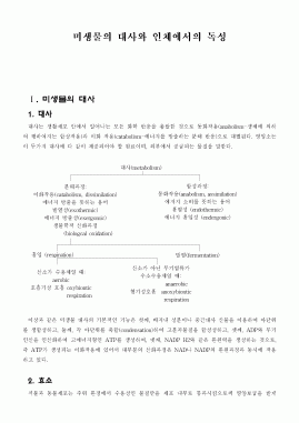 미생물의 대사와 인체에서의 독성-1페이지