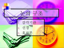 [자연과학] 눈의 구조-1페이지