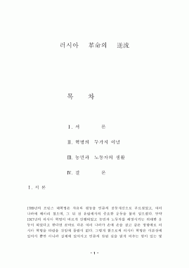 러시아 혁명의  역류-1페이지