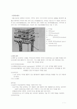 ICU case study 레포트 자료-1페이지