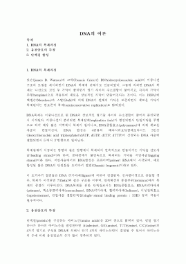DNA의 이론 레포트 자료-1페이지